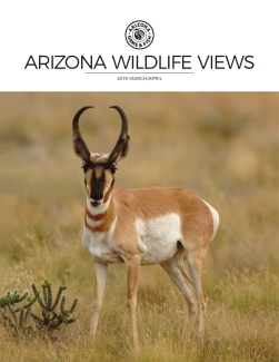 Arizona Wildlife Views Magazine